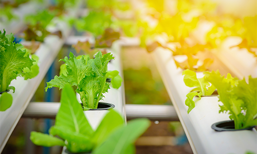 Agenda - BioSolutions Conference & Expo